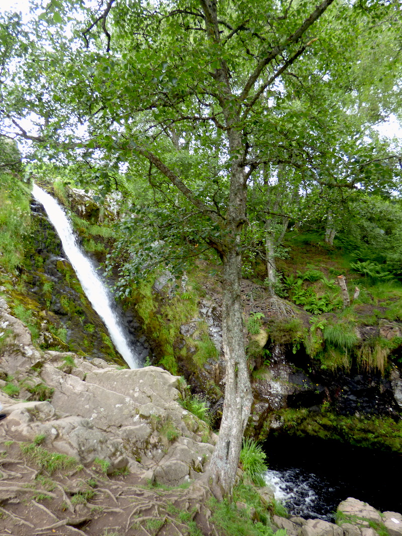Circular Walks in Northumberland Under 2 Hours - Where's Clare