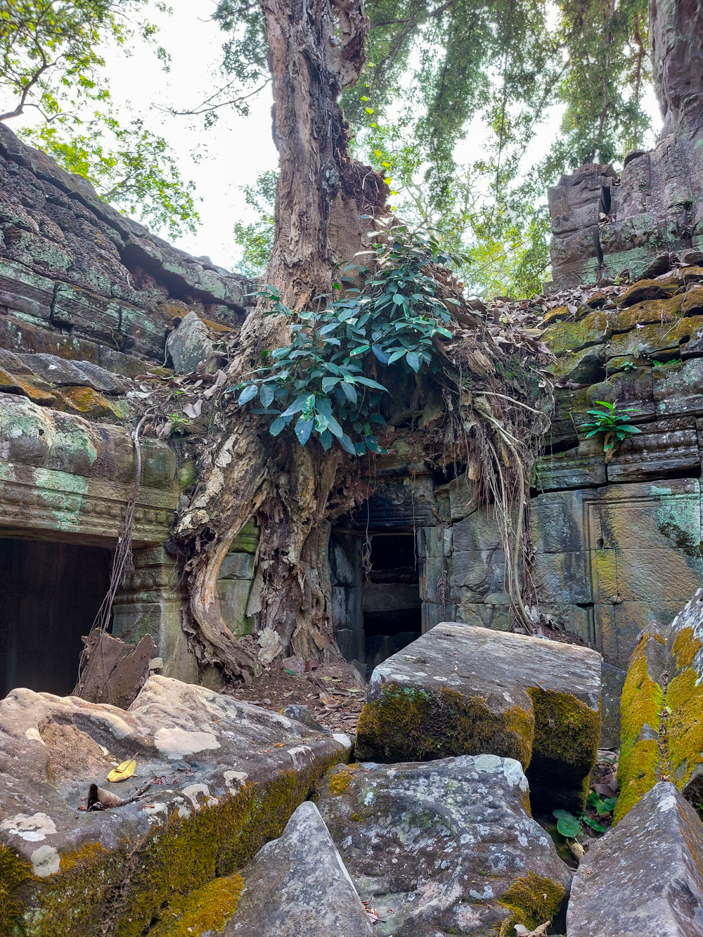 Tips for Visiting Angkor Wat - Where's Clare
