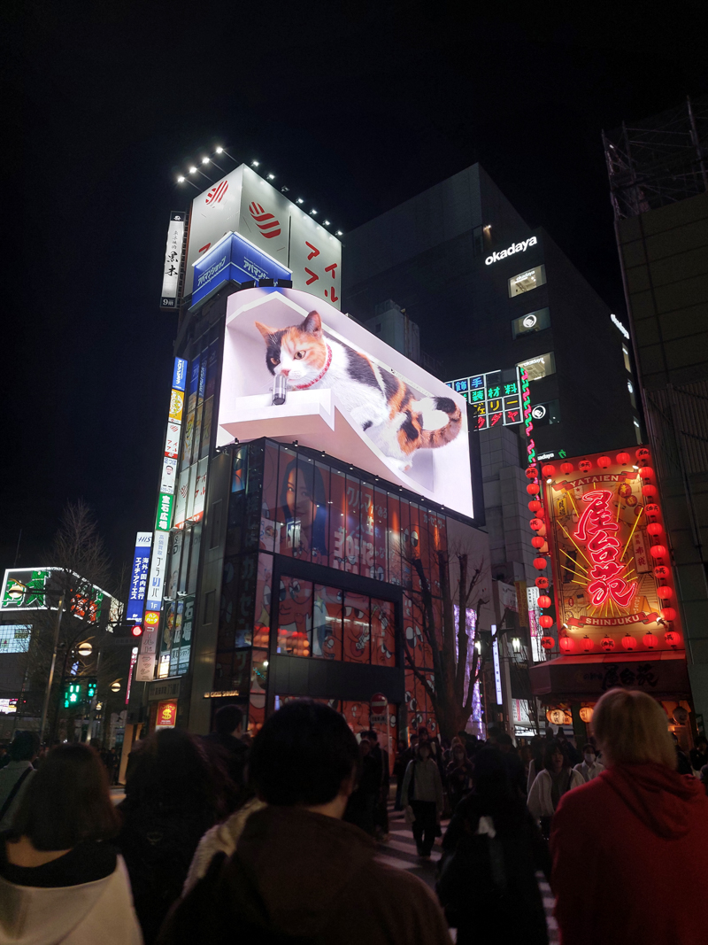 28 Things to do in Tokyo - Split By Area - Where's Clare